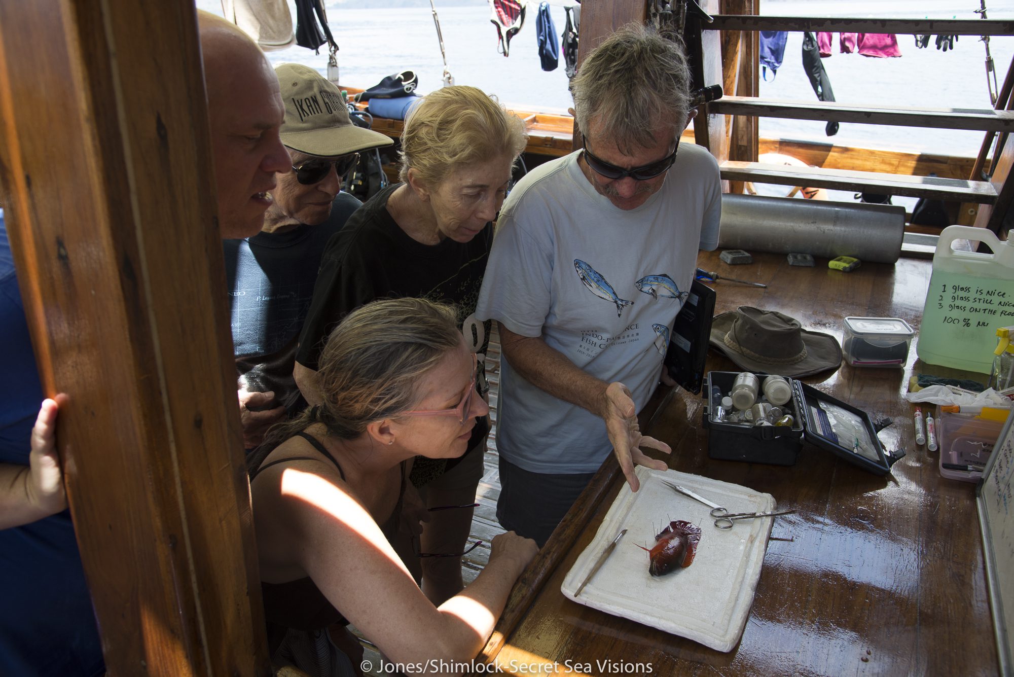 Bird's Head Seascape The Art of Describing a New Species of Fish by Dr ...