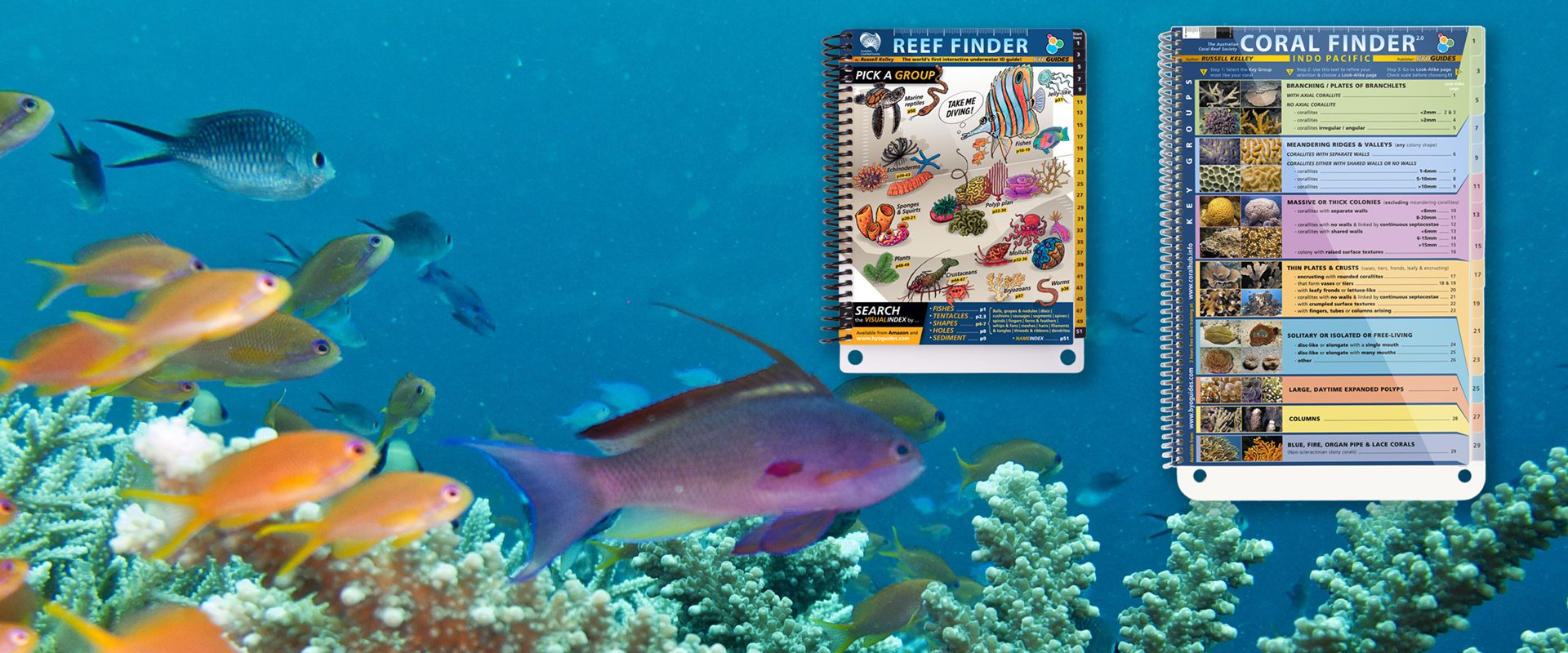 Bird's Head Seascape Reef Finder & Coral Finder Underwater ID Books ...