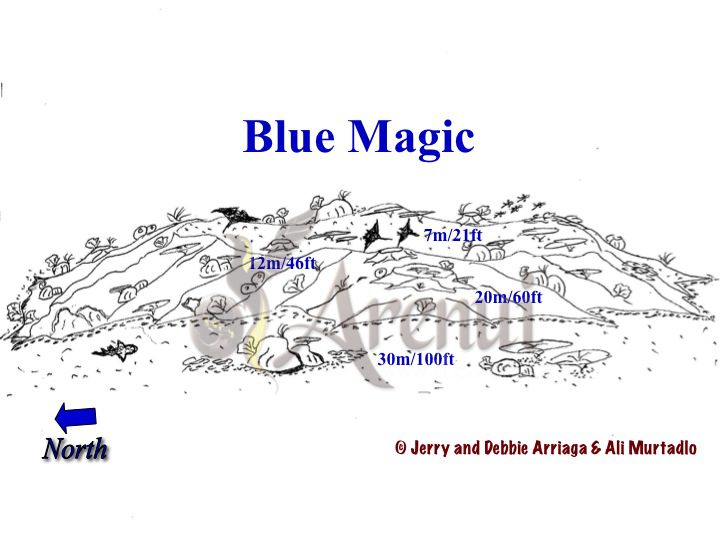 Bird's Head Seascape Homepage - Bird's Head Seascape