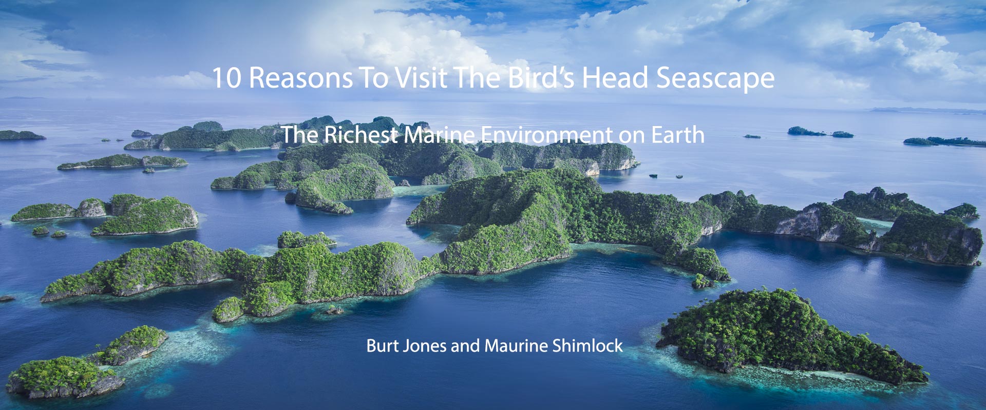 Bird's Head Seascape 10 Reasons To Visit The Bird's Head Seascape-The ...