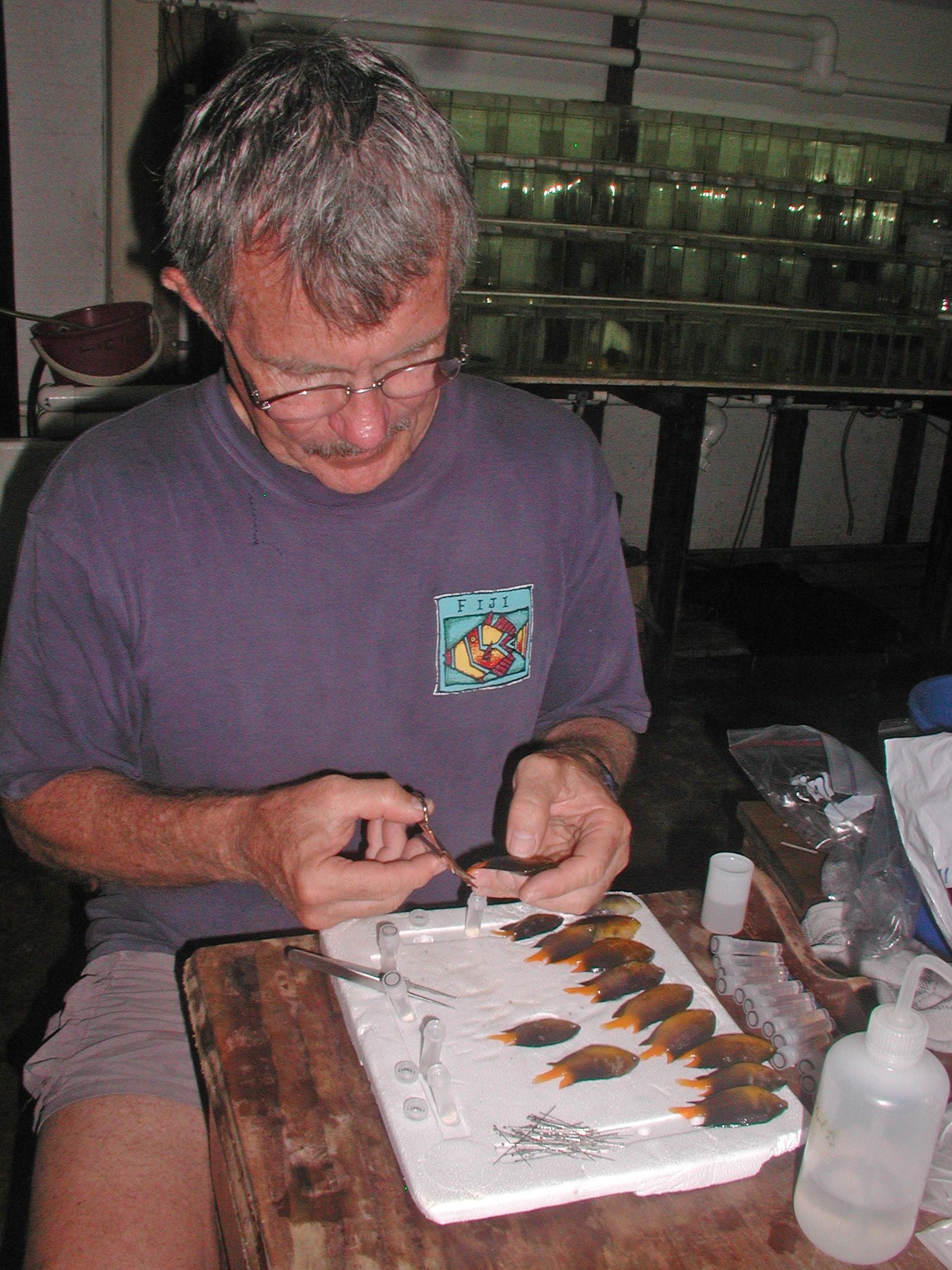 Bird's Head Seascape The Art of Describing a New Species of Fish by Dr ...