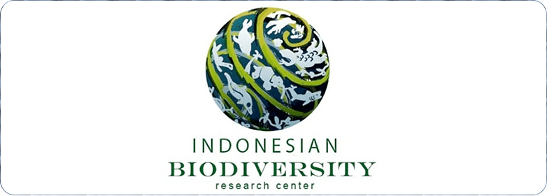 Ibrc Logo