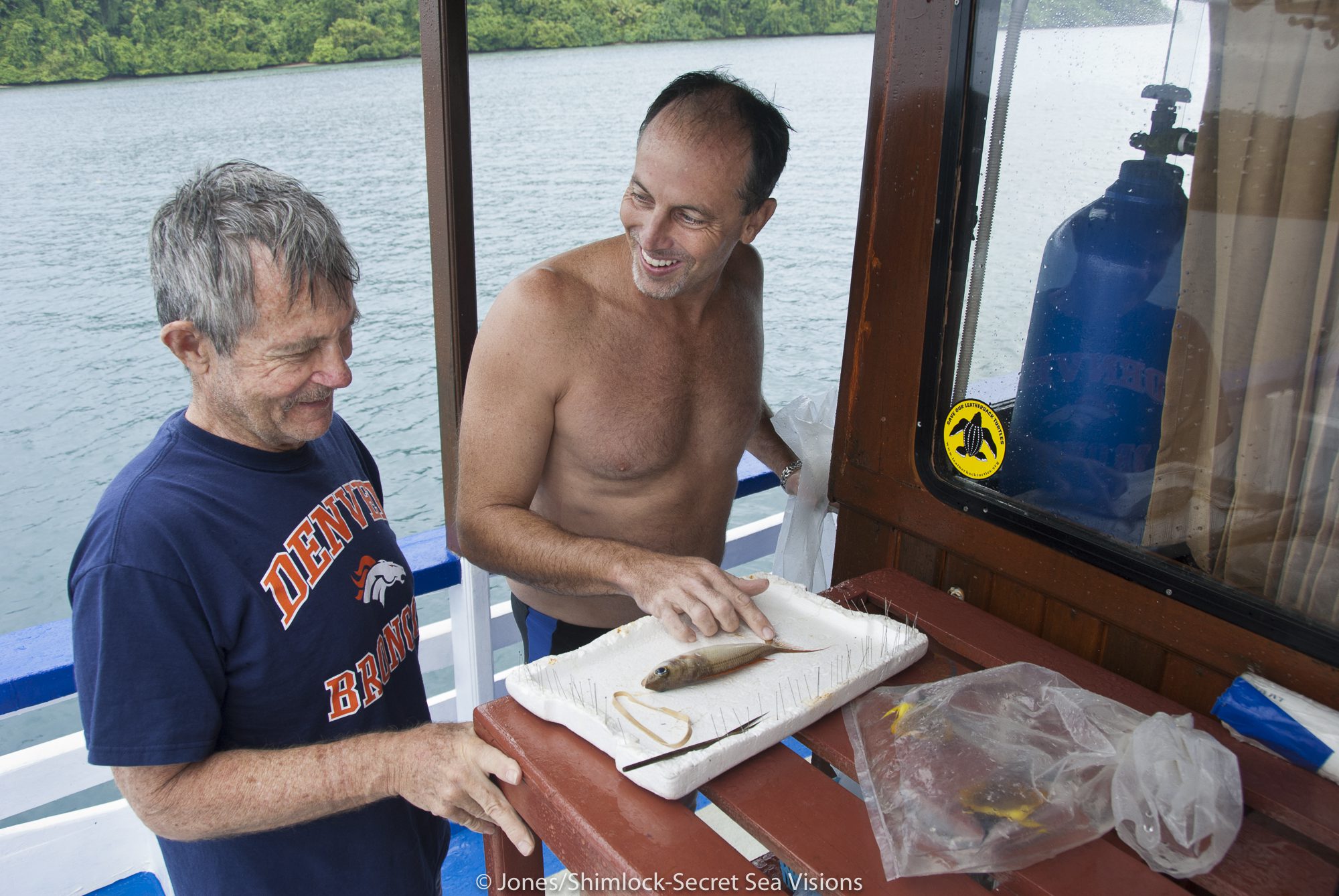 Bird's Head Seascape The Art of Describing a New Species of Fish by Dr ...