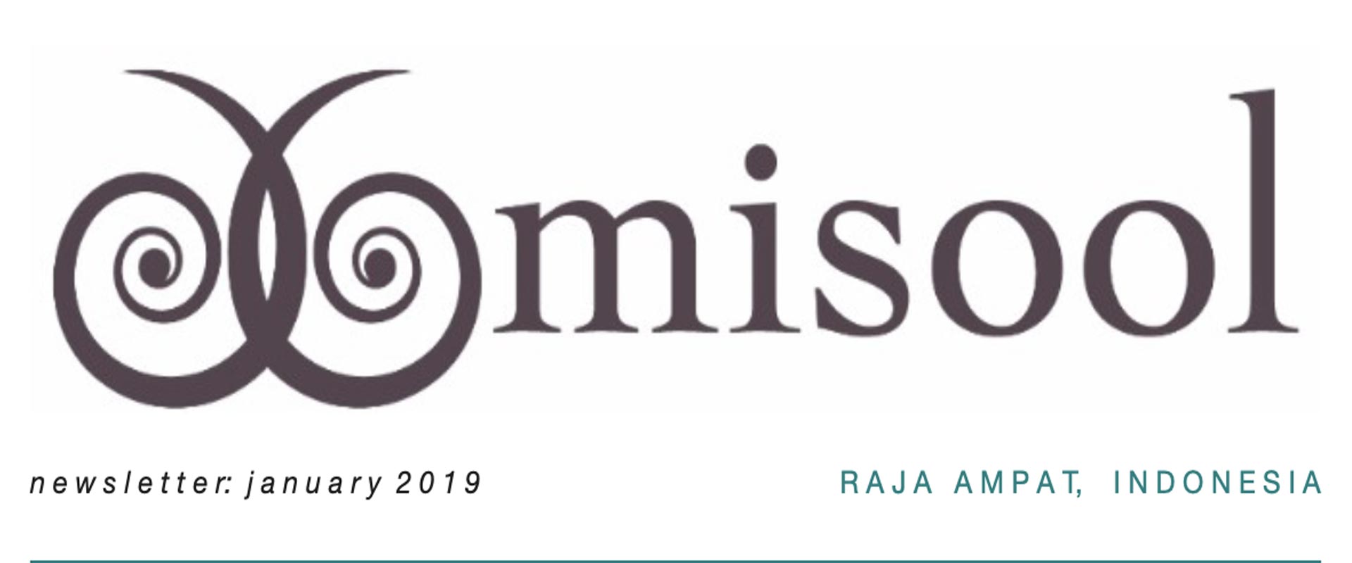 Bird's Head Seascape Misool Foundation Newsletter January 2019 - Bird's ...