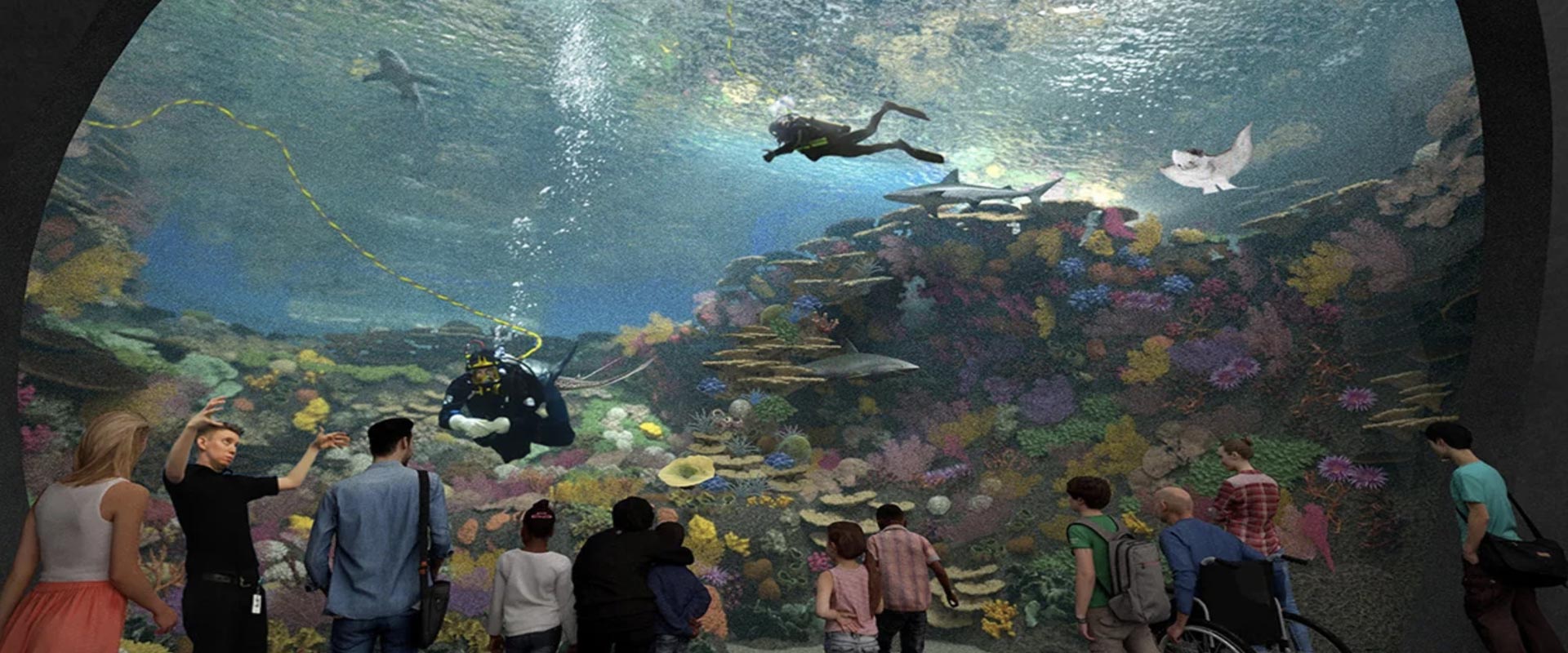 Bird's Head Seascape A Surprising Visit to Seattle's Ocean Pavilion as ...