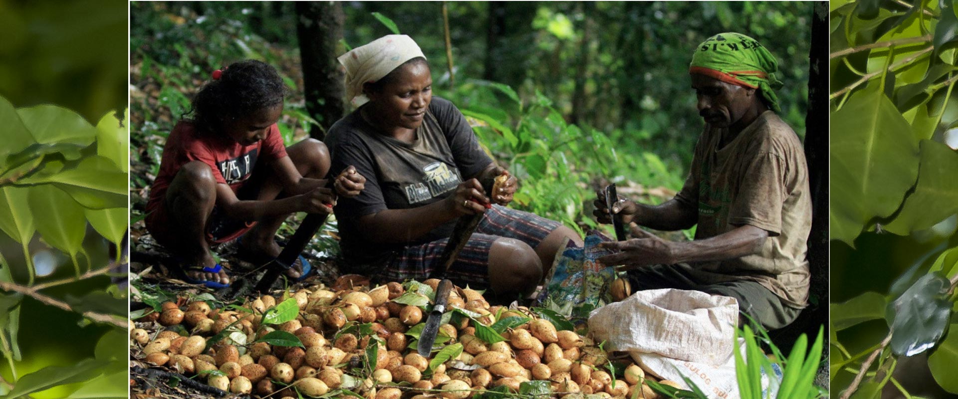 Laura Veverka's Instagram, Twitter & Facebook on IDCrawl