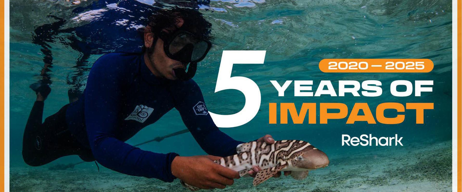 Bird's Head Seascape ReShark 5 Years of Impact - Bird's Head Seascape