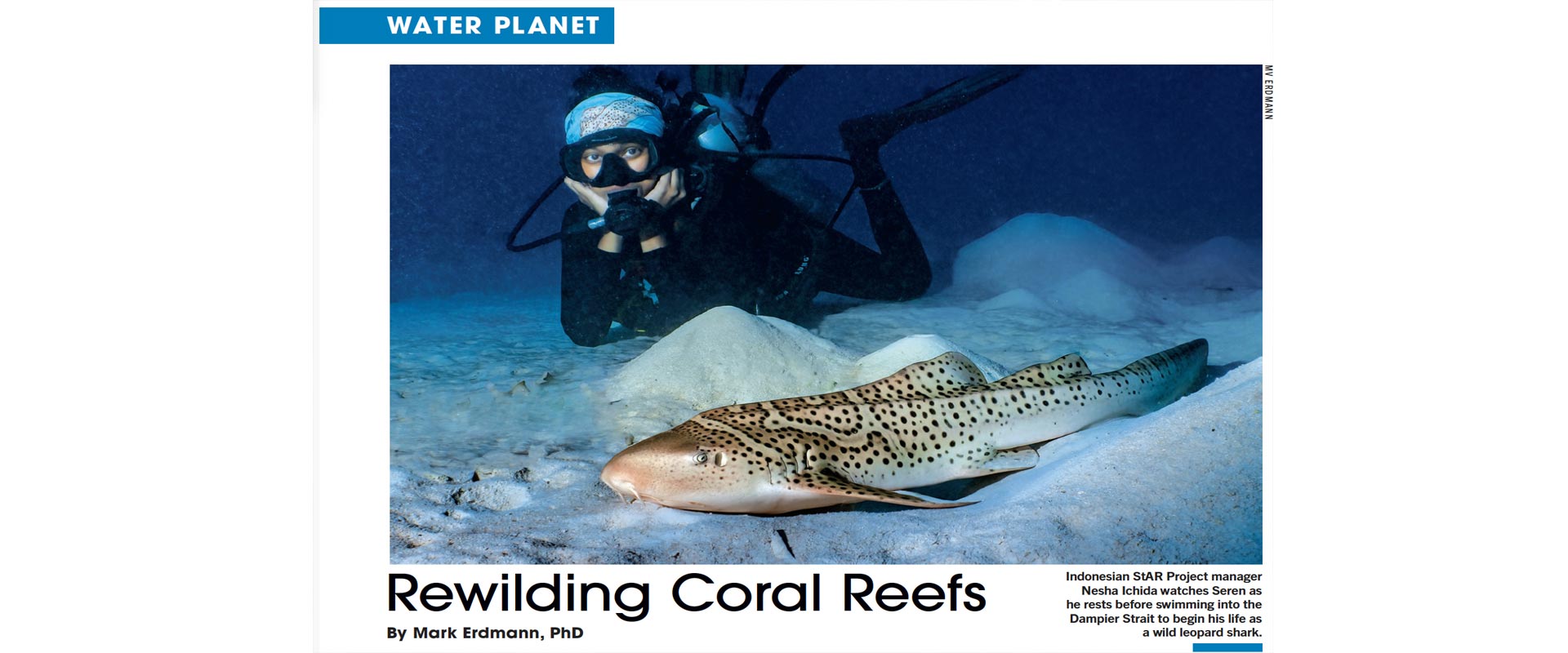 Bird's Head Seascape Rewilding Coral Reefs by Mark Erdmann - Bird's ...