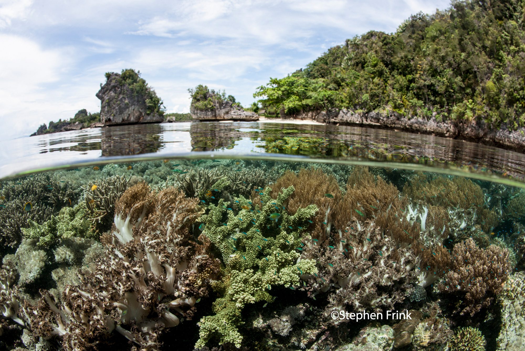 Bird's Head Seascape Stephen Frink - Bird's Head Seascape