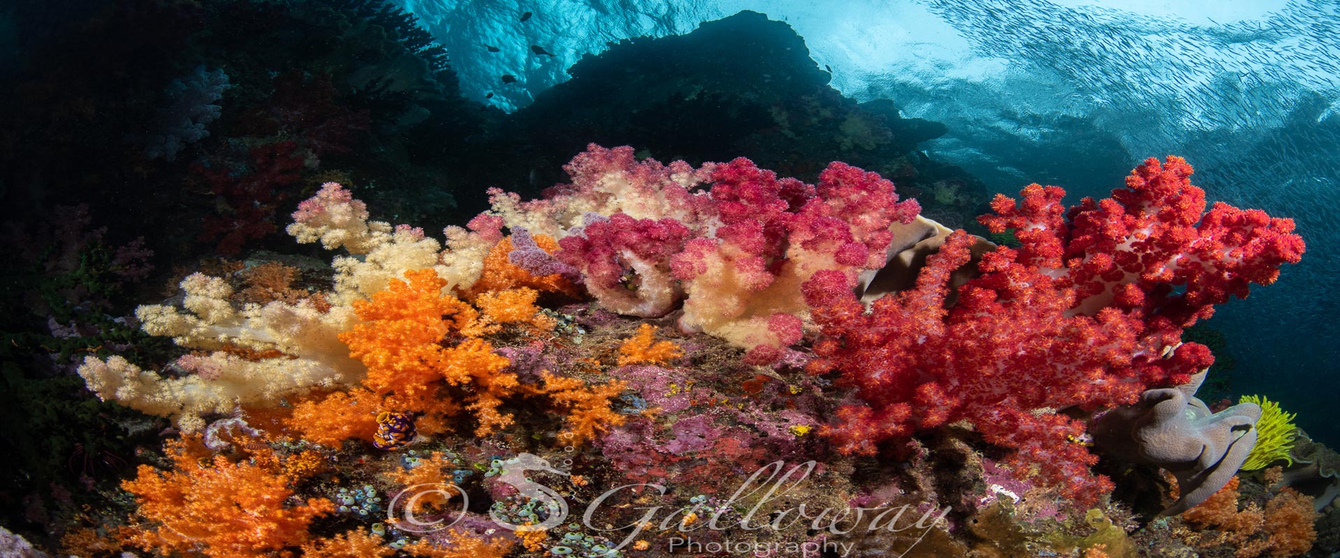 Bird's Head Seascape First Visit to Triton Bay: Part 1; the BIG Picture ...