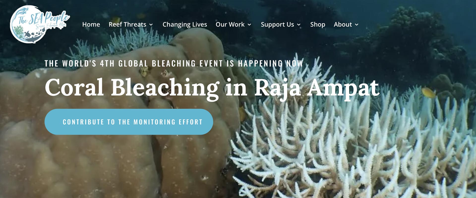 Bird's Head Seascape Attention Raja Visitors: It's reefs need your help! Reef Health/Coral ...