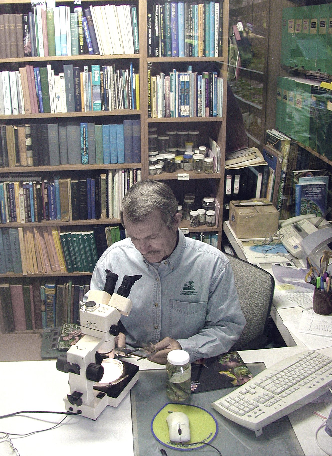 Bird's Head Seascape The Art of Describing a New Species of Fish by Dr ...